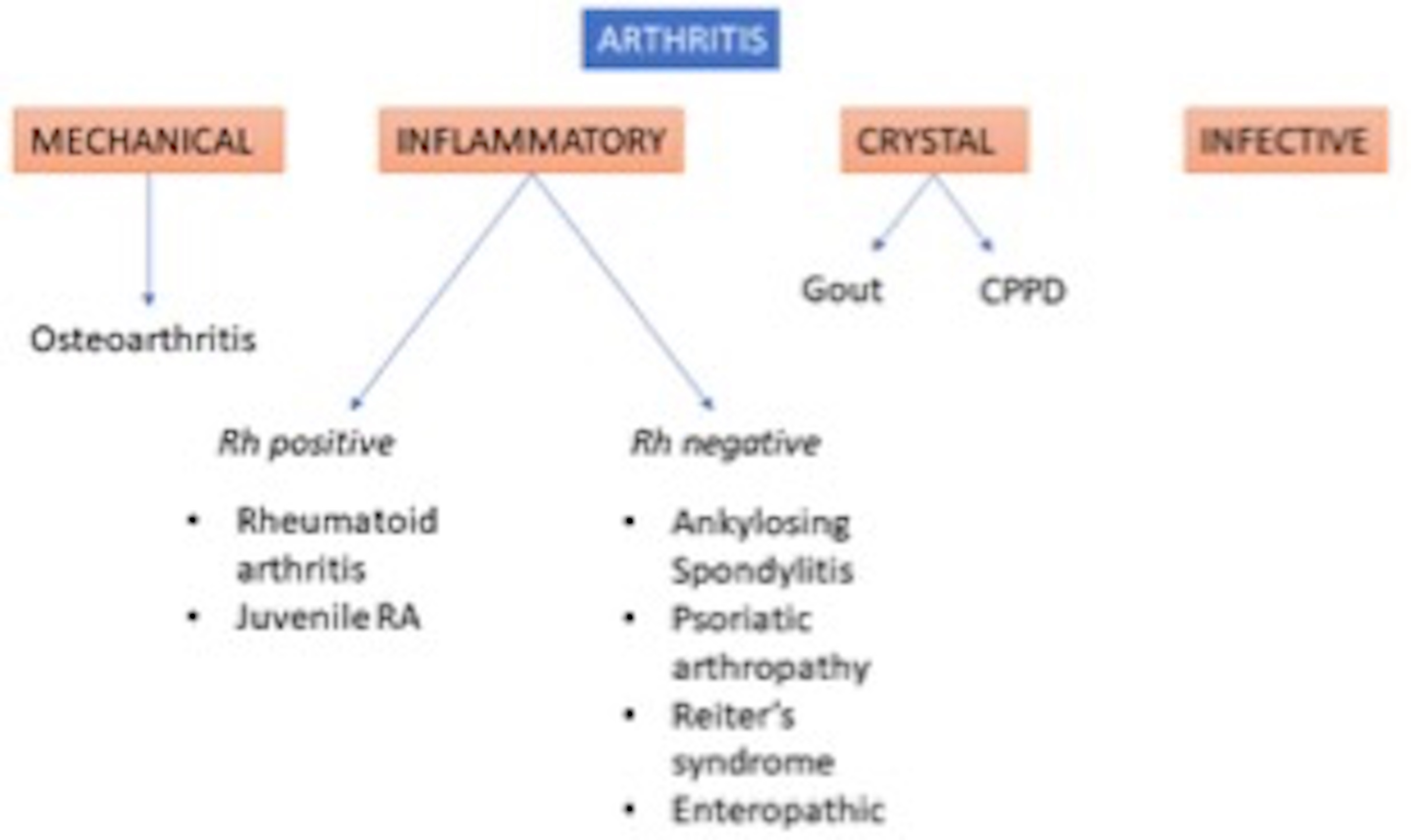 Arthritis, spine imaging, and beyond.. Dr Harun Gupta’s talk – Cafe ...