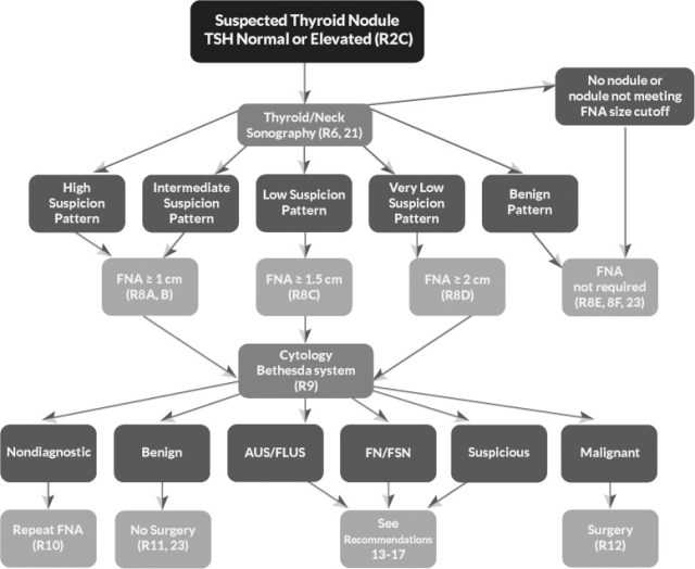 Thyroid Nodule Management: SRU, ACR, and ATA Recommendations – Cafe ...