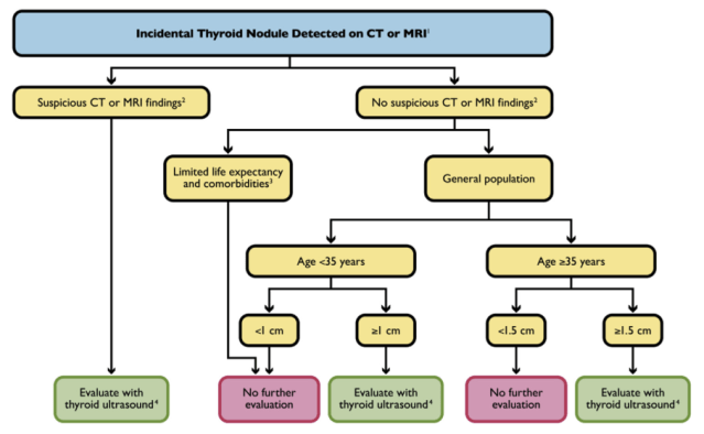 Thyroid Nodule Management: SRU, ACR, and ATA Recommendations – Cafe ...