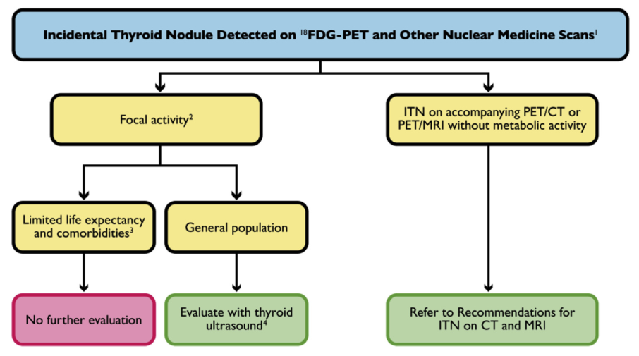 Thyroid Nodule Management: SRU, ACR, and ATA Recommendations – Cafe ...