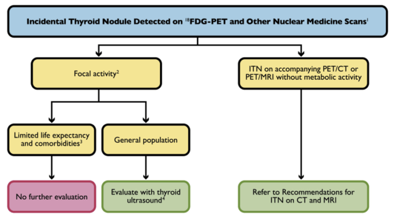 Thyroid Nodule Management: SRU, ACR, and ATA Recommendations – Cafe ...