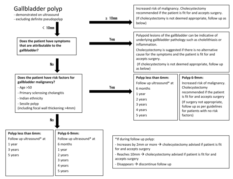 Management of Incidental Gall Bladder Polyps and Other Findings: ACR ...
