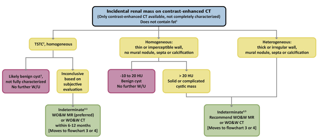 Managing Renal Incidentalomas on CT: ACR Guidelines – Cafe Roentgen