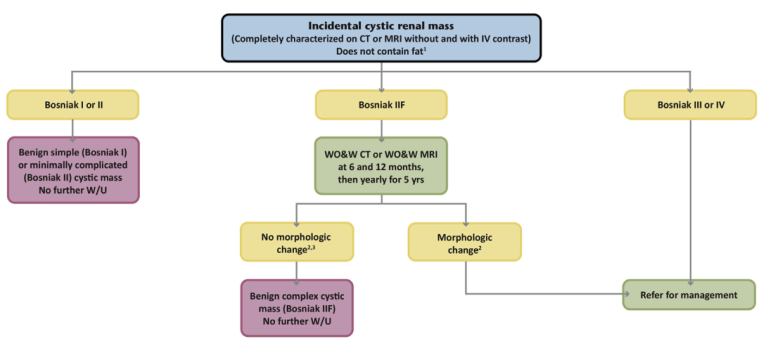 Managing Renal Incidentalomas on CT: ACR Guidelines – Cafe Roentgen