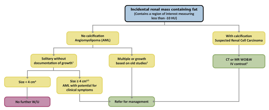 Managing Renal Incidentalomas on CT: ACR Guidelines – Cafe Roentgen