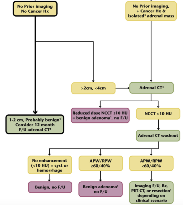 Adrenal Incidentalomas: ACR Management Guidelines – Cafe Roentgen